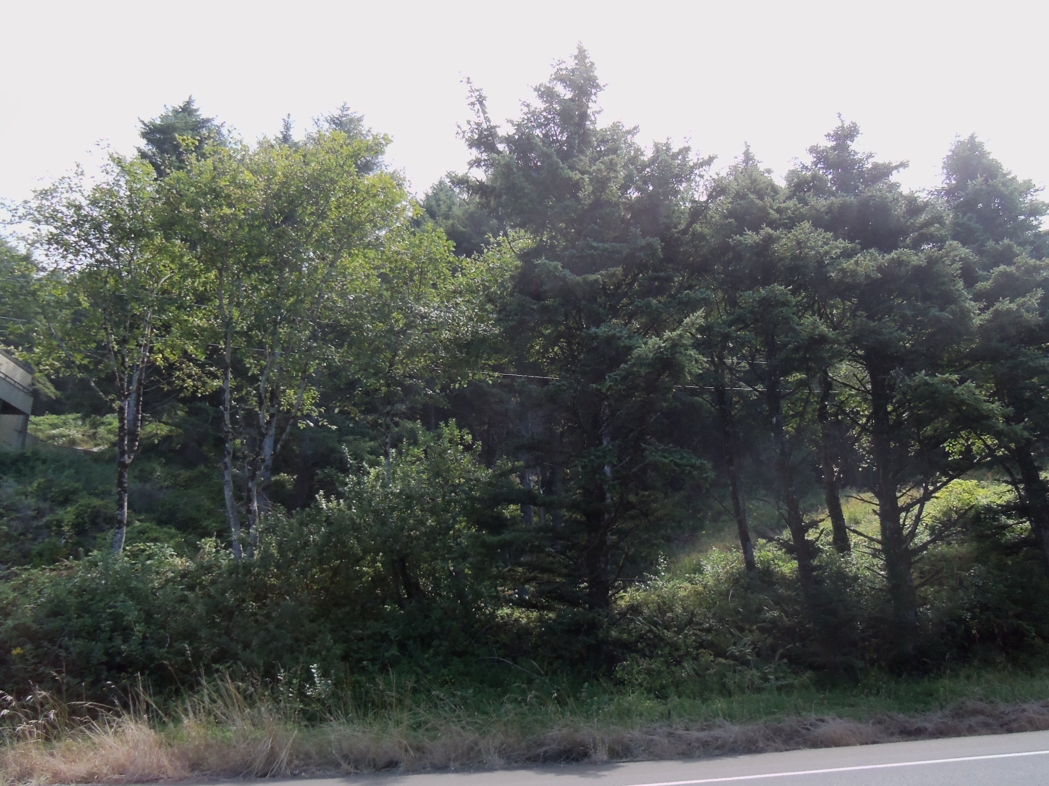 Clatsop County Property Information